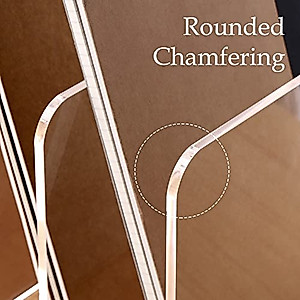 SANRUI Clear Acrylic Magazine File Holder Desk Organizer for Office Organization and Storage with 3 Vertical Compartments 8 1/2''x7 1/5''x 6 1/2'' Transparent