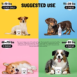 Probiotics for Dogs Natural Digestive Enzymes Prebiotics for Allergy Itch Relief Gut Flora Coprophagia Bowel Support Treatment Anti Diarrhea for Dogs Pet Health Immune System Support 120 Soft Chews