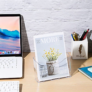 Chinco 10 Pieces Acrylic Brochure Holder Bulk 6 x 8 Inches, Clear Literature Holder Plastic Flyer Display Stand for Pamphlet Vendors Magazine Document Booklet Menu Trifold Wedding Party