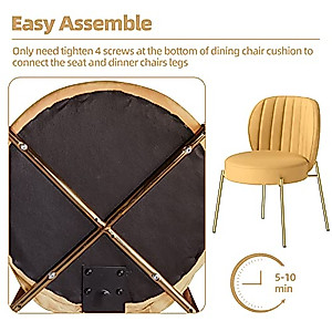 Sucrever Dining Chairs Set of 2, Upholstered Dining Chairs, Kitchen & Dining Room Chairs, Mid Century Modern Velvet Accent Chair with Gold Legs/Wide Seat for Dining Kitchen Living Room Bedroom, Yellow
