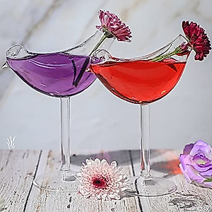 SuproBarware Cocktail Glass - Bird Glass Clear Wine Glasses Set of 2 Goblet Beverage Glass 5 Ounce for Party Wedding
