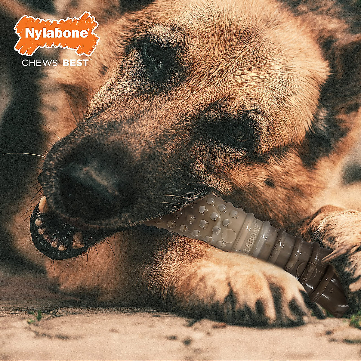 Nylabone Power Chew Camo Dog Toy - Dog Toys for Aggressive Chewers - Indestructible Dog Toys for Aggressive Chewers Large Breed - For Extra Large Dogs - Chicken Flavor X-Large/Souper - 50+ lbs.