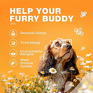 Dog Allergy Relief Chews - Itch Relief for Dogs - Anti Itch - Dog Allergy Chews - US Formulated Dog Itching Skin Relief with Salmon Oil - Immune Health, Seasonal Allergies & Hot Spots Support Treats