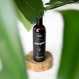 O'Douds Activated Charcoal Shampoo - Moisturizing & Clarifying Shampoo - Cleanses & Rejuvenates Hair & Scalp - Sulfate & Paraben Free - Lavender & Peppermint Scent, 12 oz.