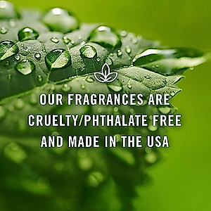 P&J Fragrance Oil | Rose Oil 30ml - Candle Scents for Candle Making, Freshie Scents, Soap Making Supplies, Diffuser Oil Scents