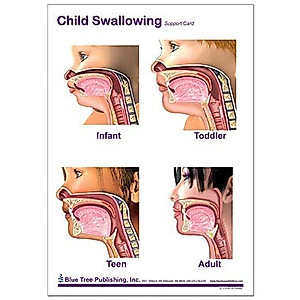 Child Swallowing Support Card