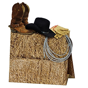 Beistle 3-D Western Centerpiece, 9.5" Tall - Desert-Themed Table Decoration for Cowboy Old Wild West Birthday Parties