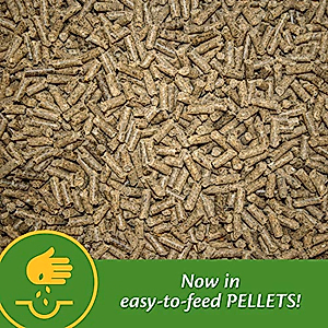 Farnam Grow Colt Supplement for Growth & Development, Supports Normal, consistent Growth in First Years of foal's Life, 7.5 lbs, 60 Day Supply