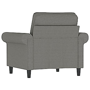 WHOPBXGAD Sofa Chair,Living Room Sofas, upholstered Sofas for Living Rooms, bedrooms, Offices and Apartments,Dark Gray 23.6" Fabric