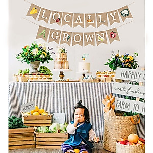 Locally Grown Banner Burlap Bunting Garland for Kids Farmers Market Produce Stand Baby Shower Wedding or Gardener Theme Farm Party Photo Backdrop