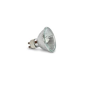 CAROLINA CUSTOM CAGES 75w GU10 Halogen Reptile Basking Bulb