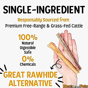 Best For My Pets Odor Free Bully Sticks, Long-Lasting Chews to Keep Puppies and Dogs Happily Busy, All-Natural Fully Digestible, 6-Inch Long, 8-Ounce Bag