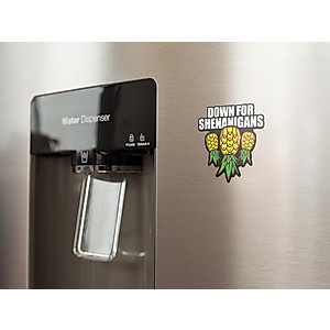 Down for Shenanigans Upside Down Pineapple Magnet for Cruise Door, Refrigerator and Car Bumper, Swinger Lifestyle Gifts, Size 4in