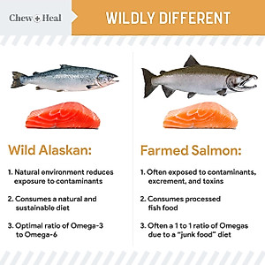 Chew + Heal Labs Omega Salmon Jerky Dog Treats - 5 oz of Soft Salmon Jerky for Skin and Coat - Made with Wild Alaskan Salmon, Flaxseed, Oat Flour, and More - Made in The USA