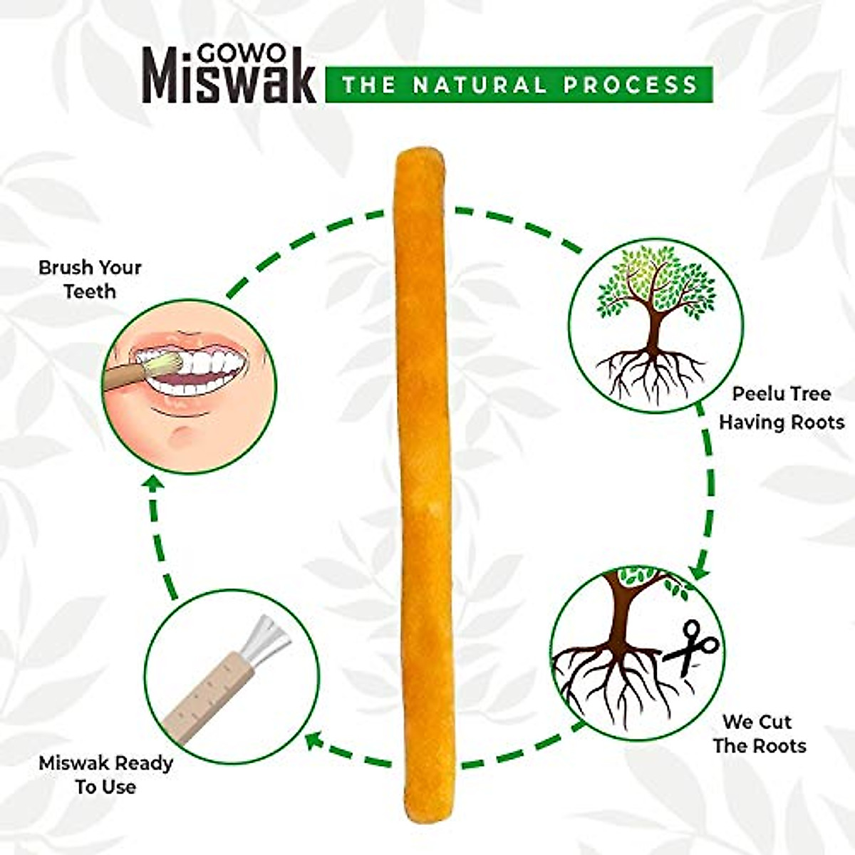 GOWO 3 Pack Miswak Sticks and Holders - Natural Teeth Whitening Kit - Natural Toothbrush - No Toothpaste Needed - Herbal Teeth Whitener and Breath Freshener - (Includes 3 Sticks and 3 Holders)