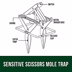 Garsum Mole Traps That Kill, EasySet Eliminator Black Scissor Traps, Vole Trap for Lawns, Reusable Quick & Clean Kill, Black_1 Mole Trap