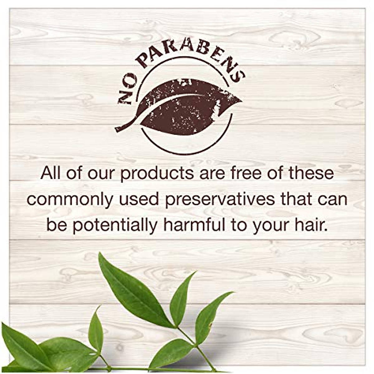 Garnier Hair Care Whole Blends Ginger Recovery Strengthening Shampoo, 22 Fluid Ounce