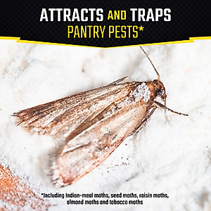 Black Flag Pantry Pest Glue Trap, 2 Count