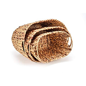 Trademark Innovations Set of 3 Oval Hyacinth Baskets with Iron Wire Frame