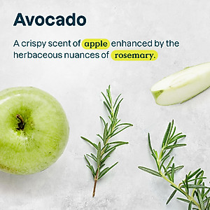 ATTITUDE Hair Conditioner for Sensitive Dry Scalp, Dry and Damaged Hair, Soothing Oat, Naturally Derived Ingredients, Dermatologically Tested, Vegan Detangler, Nourishing, 8 Fl Oz