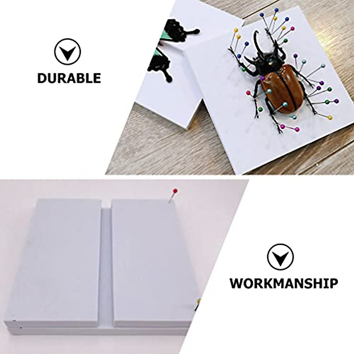 iplusmile Insect Display Box, Bug Display Board Insect Pinning Board Butterfly Mounting Spreading Board Specimen Spreading Board for Science Education