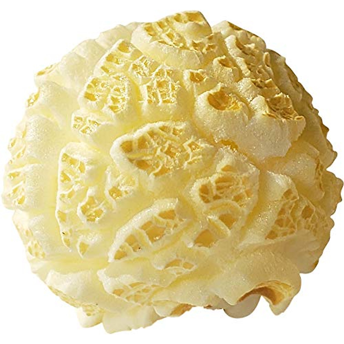 Mushroom Popcorn Kernels by Princeton Popcorn - Farmer Direct, Non-GMO, Gluten Free, UnPopped, Ball Shaped, Old Fashion Popcorn Pops Extra Large popcorn kernels, mushroom popcorn kernels for popping for Air Popper & Stovetop 32oz