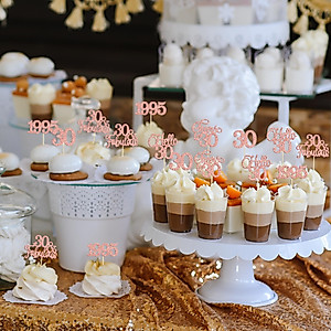 Gyufise 30Pcs 30th Birthday Cupcake Toppers Glitter Hello 30 Cupcake Topper Cheers to 30 1995 Thirty Cupcake Picks for Happy 30th Birthday Anniversary Party Cake Decorations Rose Gold