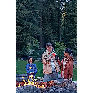 Stanley Everyday GO Tumbler 10oz Stainless Steel