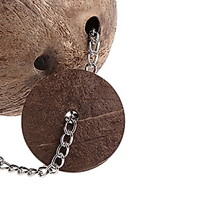 Dft Natural Coconut Shell Bird Nest House Hut Cage Feeder Toy for Pet Parrot Parakeetatiel