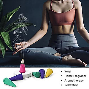 Incense Cones, Assorted Scented Incense Cones with Holder, Incense Gift Set for Mothers Day, Rose, Sage, Lavender, Violet, Cinnamon, Eucalyptus, Sandalwood, Rain Forest, 120 Cones Total