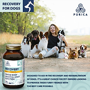 PURICA Recovery SA Powder 350g - Advanced Support for Joints, Comfort & Mobility in Dogs & Cats - Natural & Safe Supplement
