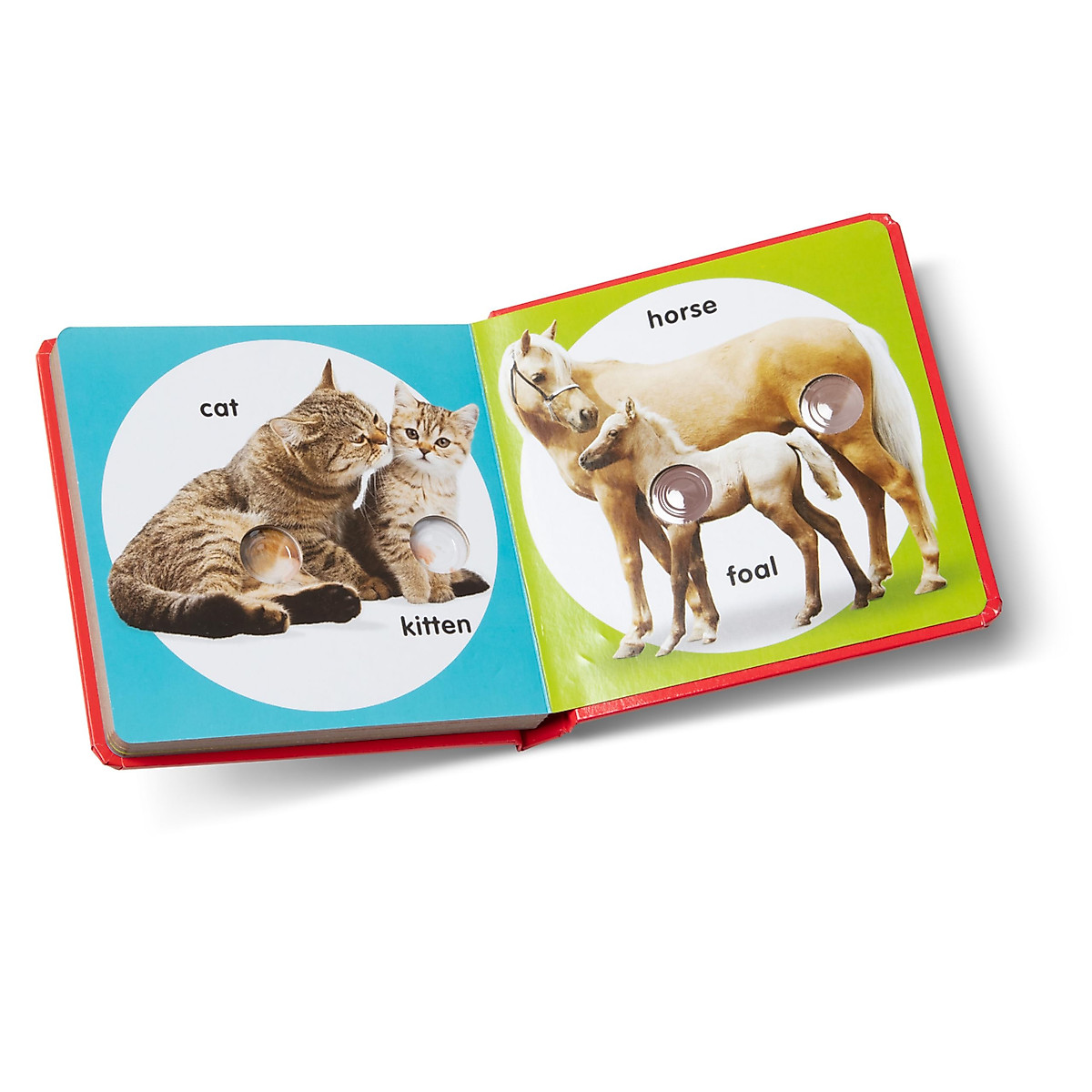 Melissa & Doug Children’s Book – Poke-a-Dot: Pet Families (Board Book with Buttons to Pop)