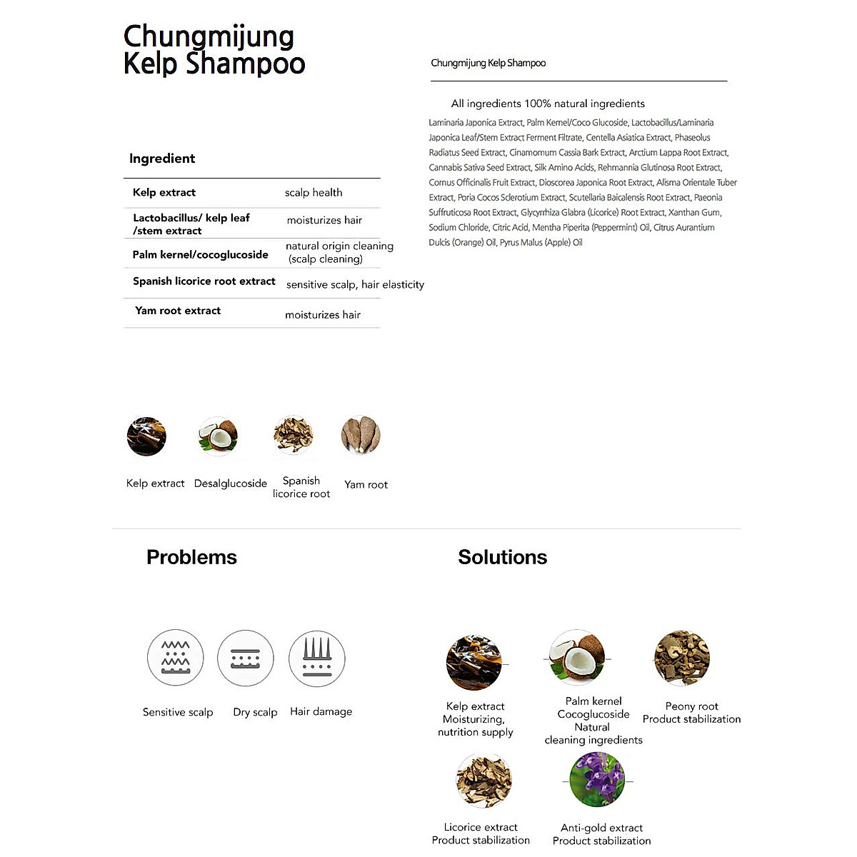 [ChungMiJung] Kelp Small Scalp Shampoo Dandruff Shampoo 500ml-organic 18 Ingredients from Nature for Sensitive Skin Korean Skincare,16.91 Fl oz (Pack of 1)