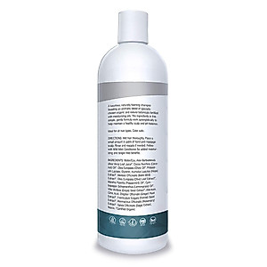 Organic Excellence WILD MINT SHAMPOO, Chemical and Sulfate Free, All Natural Color Safe - 16 oz
