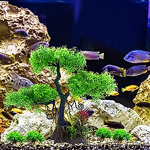 MiukingPet Artificial Aquatic Plants Fishtank Decorations Aquarium Decorations,Applicable to Office and Household Simulation Fish Tank Plants (Green)