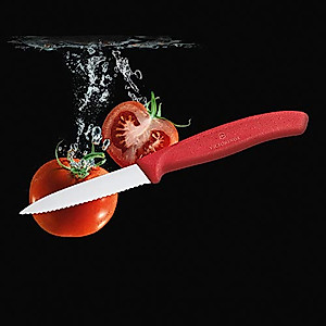 Victorinox VIC-6.7631 Swiss Classic Paring 3¼"" Serrated Spear Point Blade 5/8"" Width at Handle Red, Multicolor, m