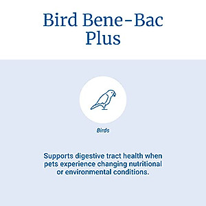 PetAg Bene-Bac Plus Bird & Reptile Gel with Probiotics - Contains Seven Microorganisms - 15 g Syringe