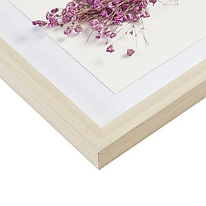 Madison Park Wall Art Living Room Décor - Sundried Natural Flowers in Shadowbox Frame, Floral Home Accent, Bedroom Decoration, Ready to Hang, 12" W x 24" H x 1.25" D, Multi 2 Piece