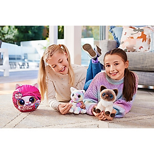 Pets Alive Smitten Kittens Surprise (Scottishfold Alli) by ZURU Nurture Play Soft Toy Unboxing Adopt Interactive 10 Sounds