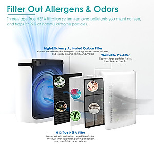 Flintar Vital 200S Toxin/Smoke Absorber Replacement Filter, Compatible with LEVOIT Vital 200S Air Purifier, H13 True HEPA + Activated Carbon Replacement filter, Part # Vital 200S-RF-TX, 2-Pack