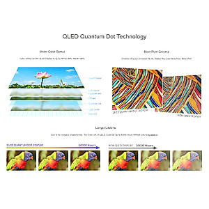 waveshare 10.1inch QLED Quantum Dot Display Compatible with Raspberry Pi 4B/3B+/3A+/2B/B+/A+/Zero/Zero W/WH/Zero 2W CM3+/4 Capacitive Touch 1280×720 Resolution Supports Jetson Nano/Windows