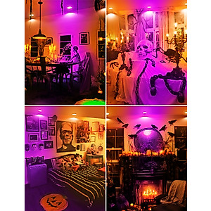 JandCase BR30 Halloween Light Bulbs, E26 Base Halloween Purple & Orange Indoor Flood Light Bulbs, Orange Purple Flood Light Bulbs for Halloween Decoration,11W(65W Equivalent),Not-Dimmable, 2 Pack