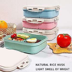 Dicunoy 4 Pack Bento Box, Lunch Box Container with 3 Compartments for Kids, Easy Snack Boxes with Utensils for Dinner, Salad, Toddler, Adults, School, Work