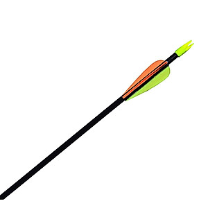 GPP 28" Fiberglass Archery Target Arrows - Practice Arrow or Youth Arrow for Recurve Bow- 12 Pack