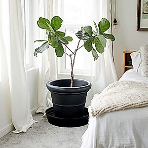 Garden Hour 25" Extra-Large Plant Saucers for Potted Plants & Felt Mat for Floor Protection - Plastic Plant Trays for Indoors No Holes - Extra-Deep Drip Trays for Potted Plants - 25W x 4.2D in.