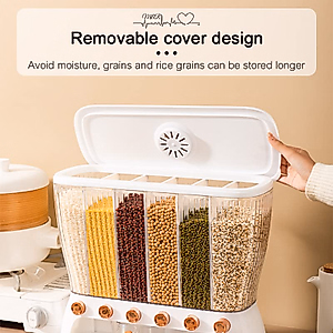 M&R, Dry Food Dispenser, Rice Container, Bulk Food Storage, Grain Canisters - 6 Grid, Moisture Proof/Airtight Dry Food Storage Containers/ Elegant design for home & kitchen.