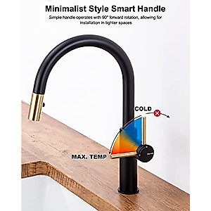 Darnok 79723BX Mia Black and Gold Kitchen Faucet with Pull Down Sprayer, 15.6-inch High-arc Magnetic Docking Kitchen Sink Faucet, Matte Black/Luxe Gold