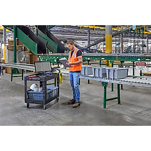 Rubbermaid Commercial Products 2-Shelf Utility/Service Cart, Medium, Lipped Shelves, Ergonomic Handle, 500 Lbs Capacity, for Warehouse/Garage/Cleaning/Manufacturing (FG452088BlA)