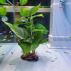 MRTIOO Reptile Artificial Plants, Terrarium Plants Decorations Supplies, Rainforest Ground Plant, Amphibian Habitat Hideout Tank Accessories (L)