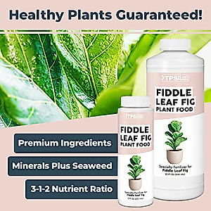 Fiddle Leaf Fig Plant Food for All Fig and Other Ficus Trees, Liquid Houseplant Fertilizer 8 oz (250mL)